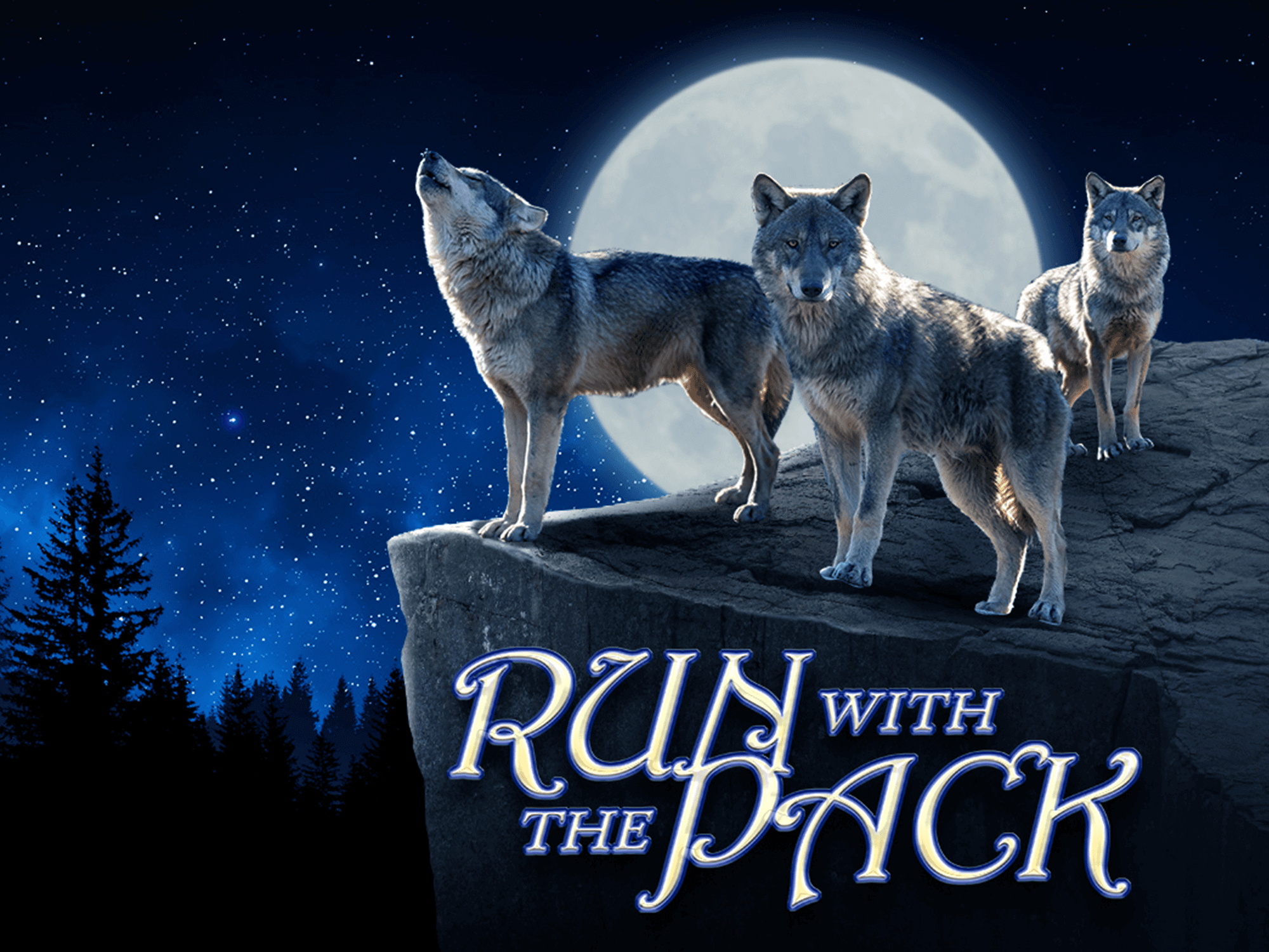 Run with the Pack – Video Lottery | Video Poker, Line Games and More