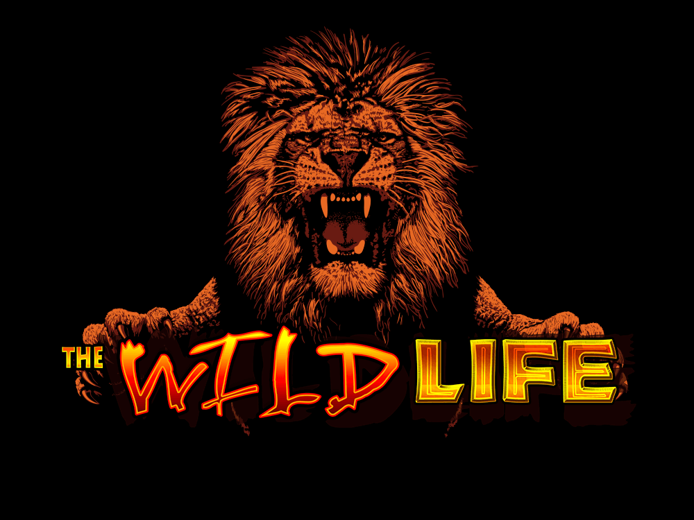 The Wild Life – Video Lottery | Video Poker, Line Games and More