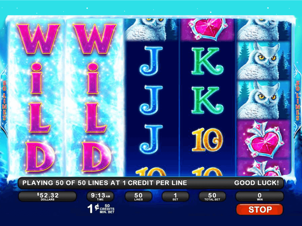 Icy Wilds – Video Lottery | Video Poker, Line Games and More