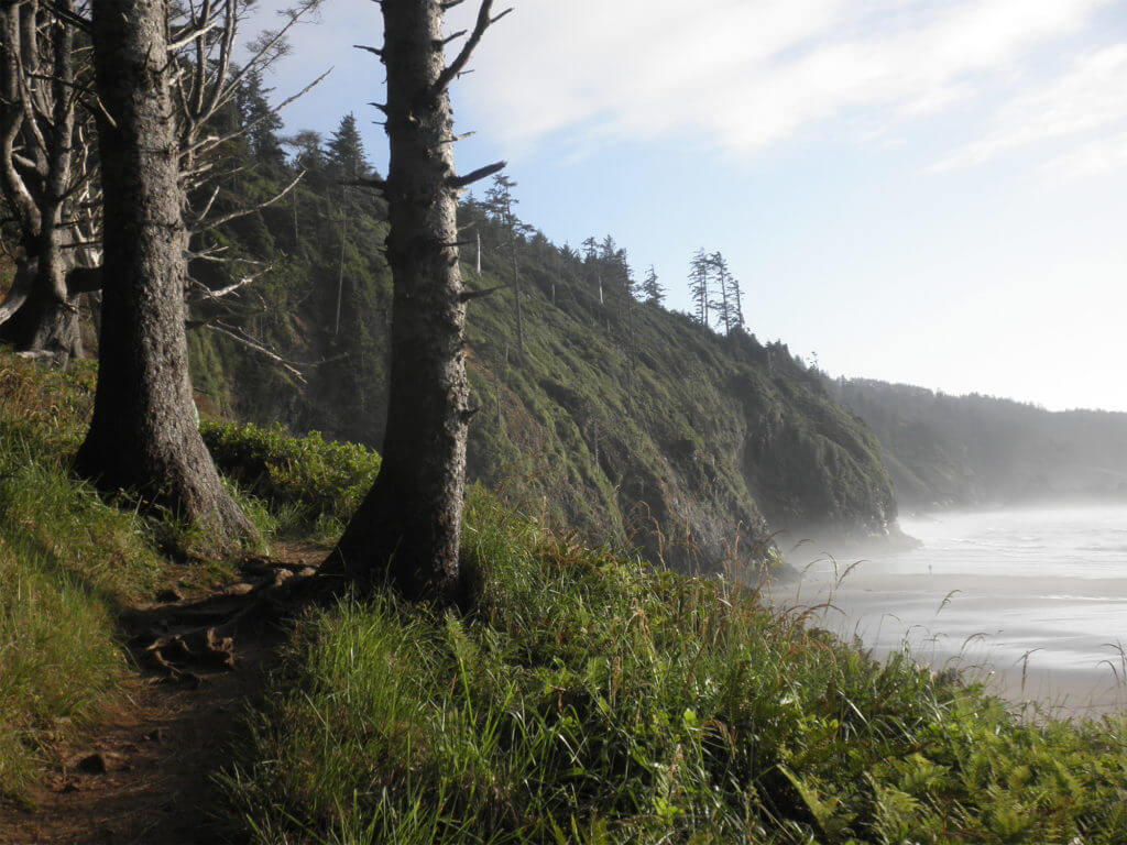 Cape Lookout State Park - Oregon State Parks | Oregon Lottery