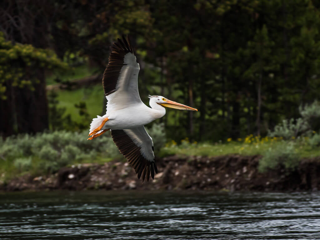 Goose Lake Recreation Area - Oregon State Parks | Oregon Lottery