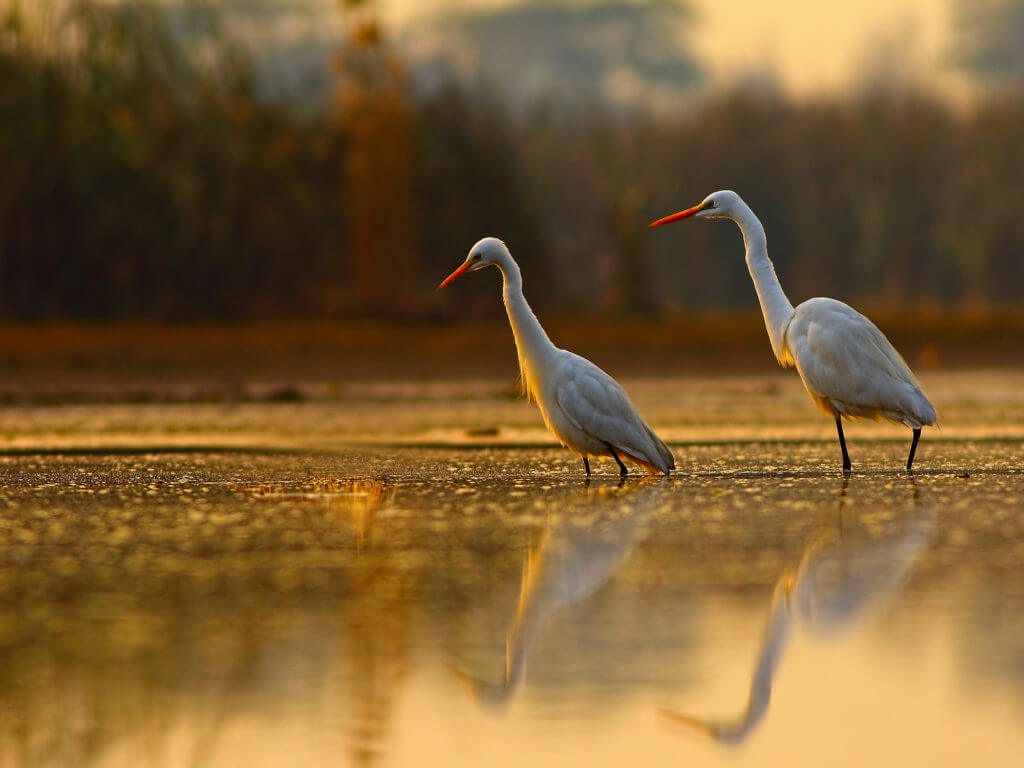 Goose Lake Recreation Area - Oregon State Parks | Oregon Lottery