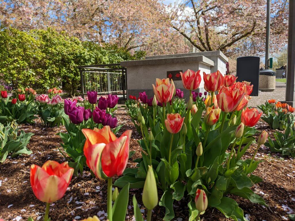 State Capitol State Park — Salem | Oregon Lottery