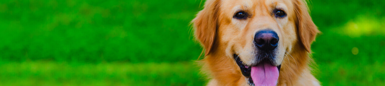 Second Chance Draw Results - Oregon Lottery