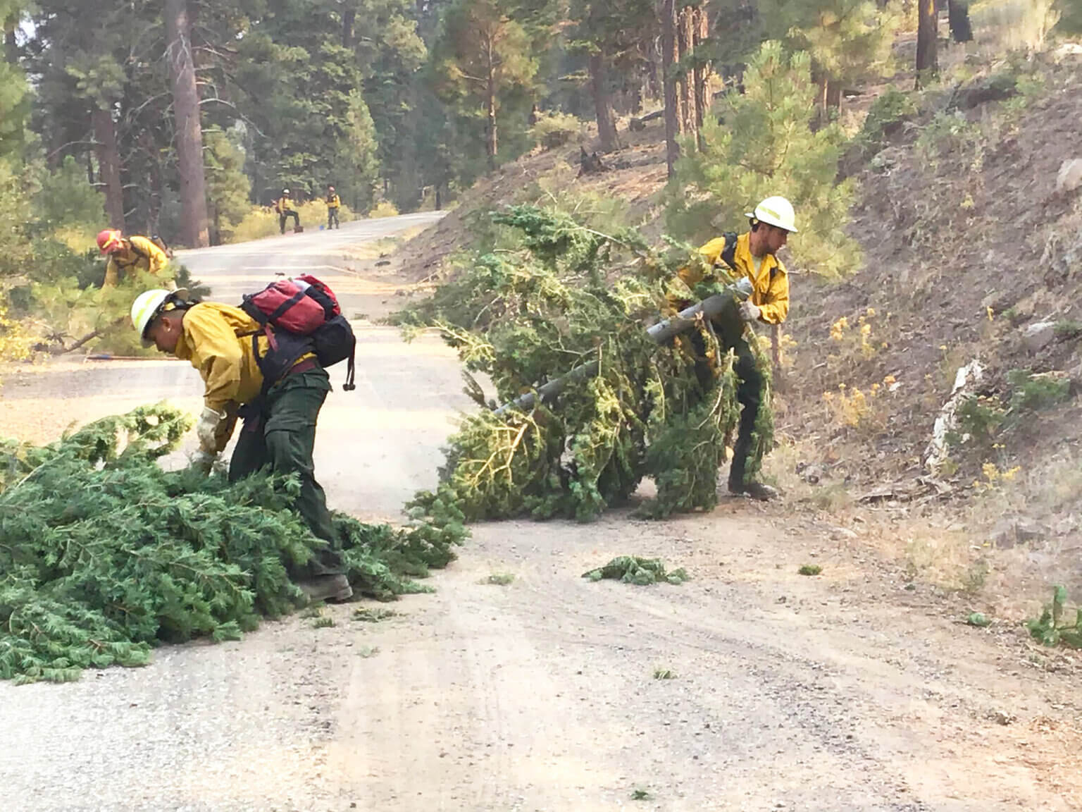 Brattain Wildfire Recovery in Lake County | Oregon Lottery
