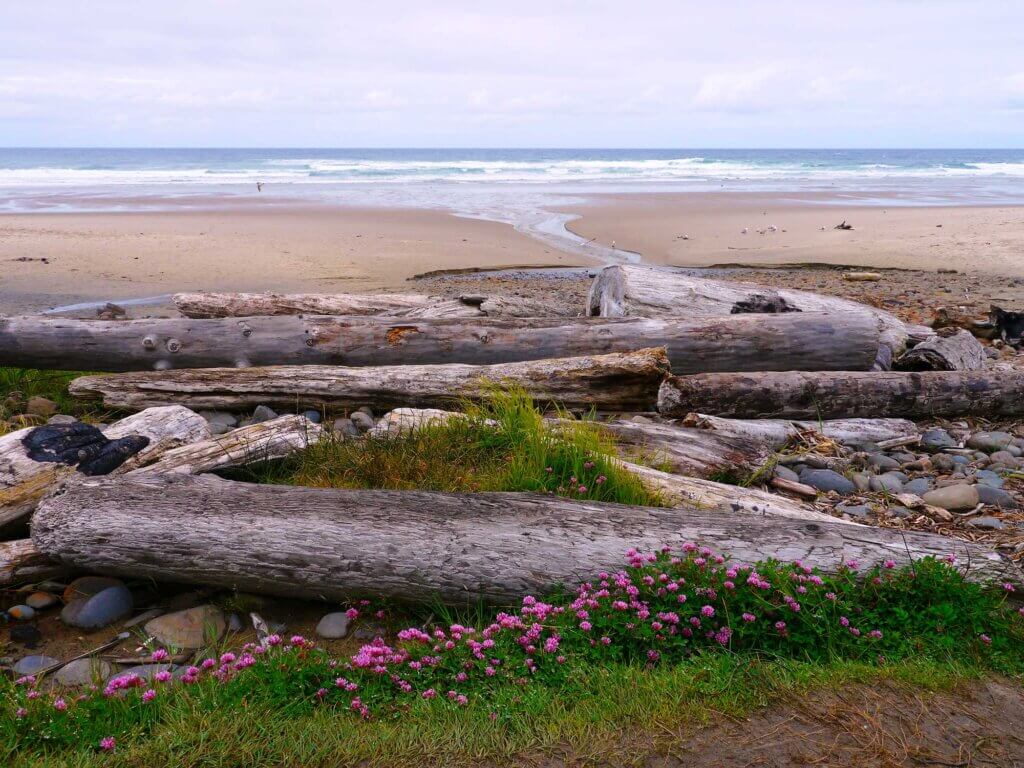 Beverly Beach State Park | Oregon Lottery