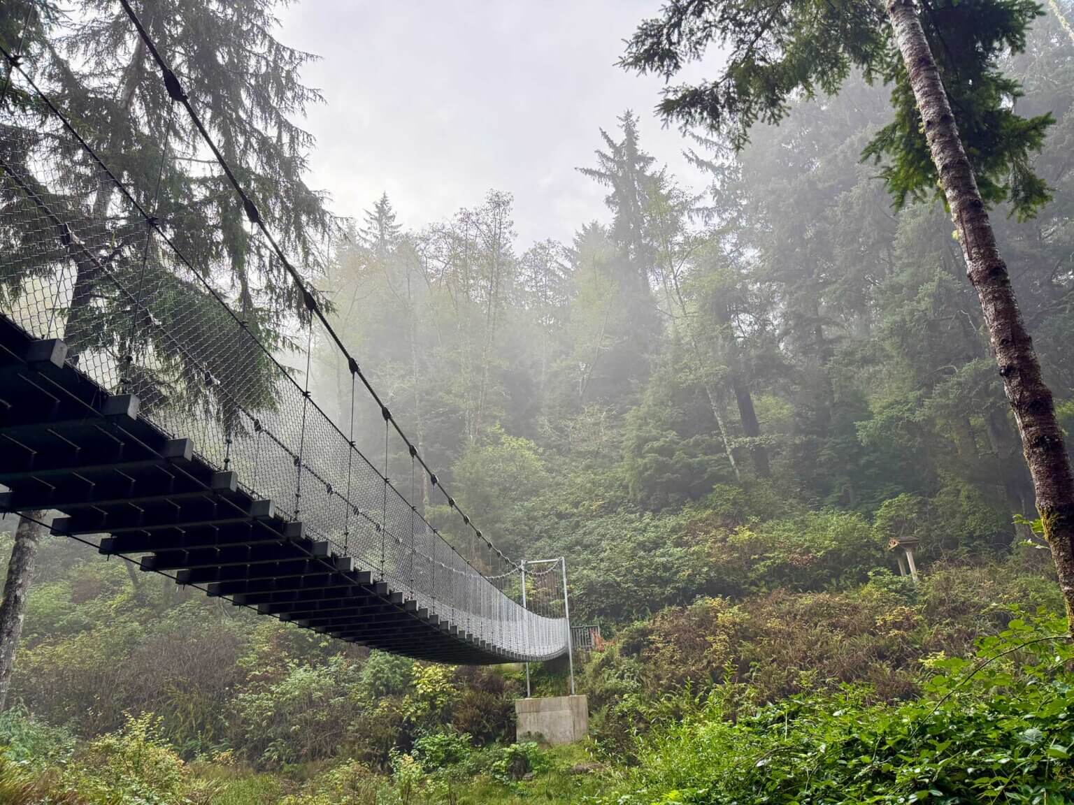 Amanda's Trail Bridge, Yachats | Oregon Lottery