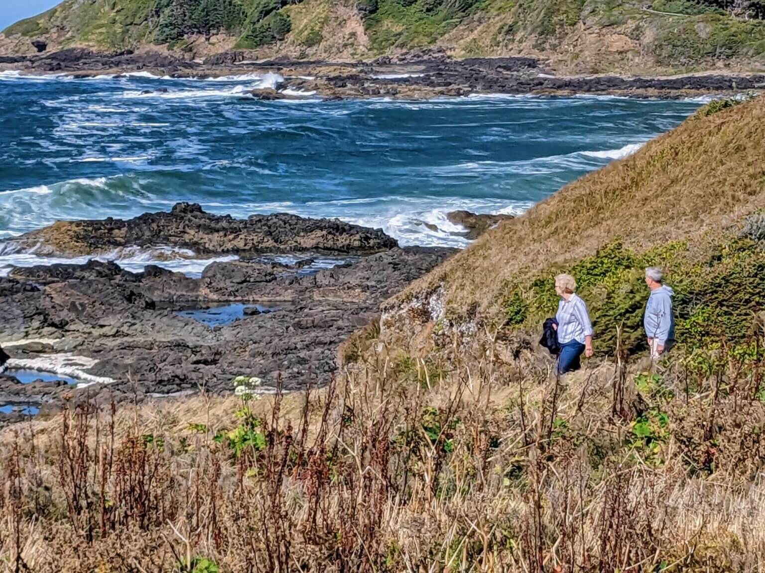 Amanda's Trail Bridge, Yachats | Oregon Lottery